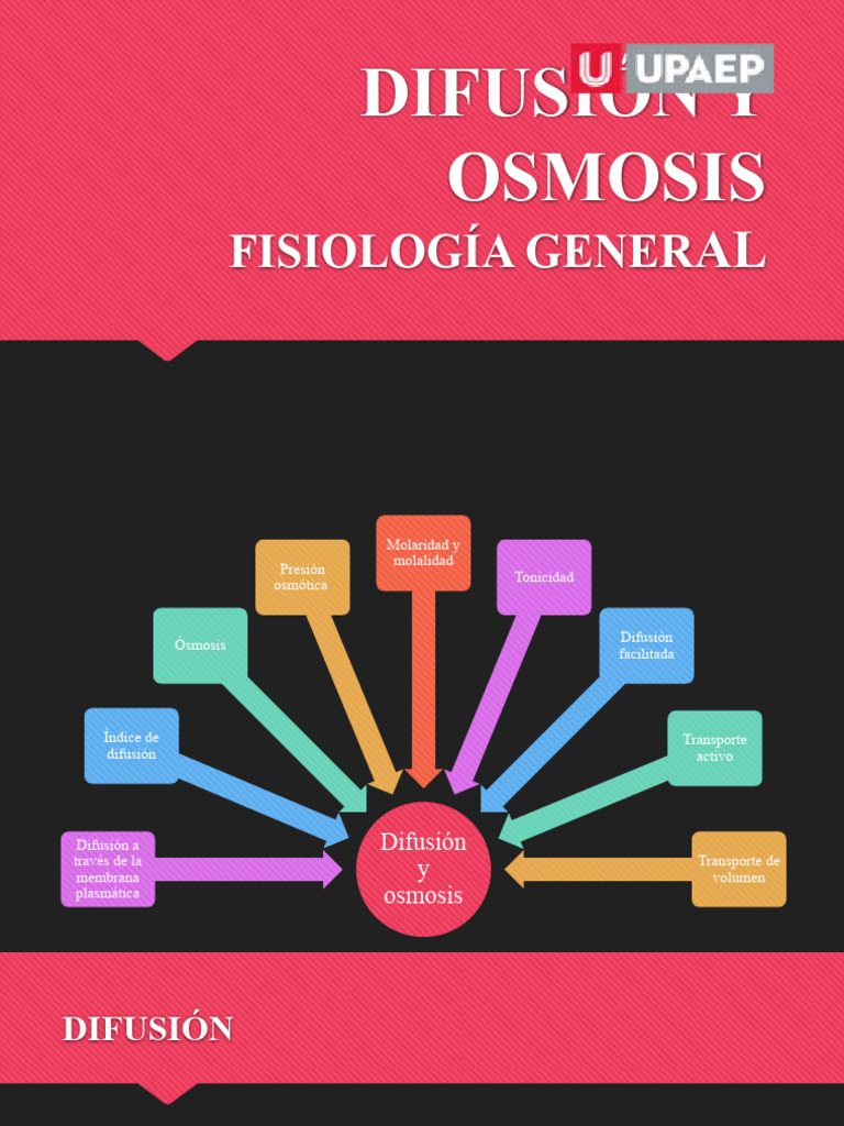 Difusión y Osmosis 1 | PDF | Ósmosis | Concentración