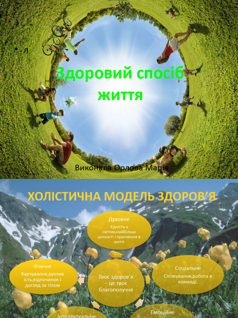 Stolyar Prezentacia Biology | PDF