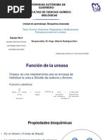 UREASA | PDF | Enzima | Urea