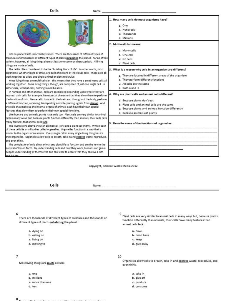 Cells | PDF | Cell (Biology) | Life