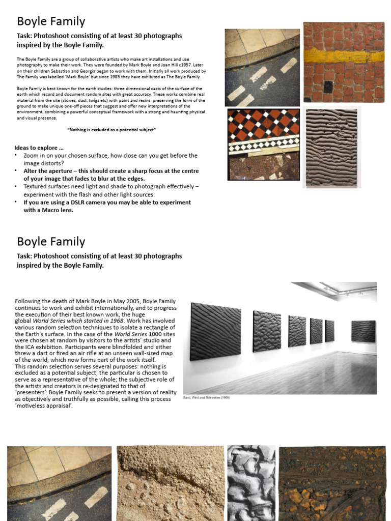 Boyle Family Texture | PDF | Camera Lens | Imaging