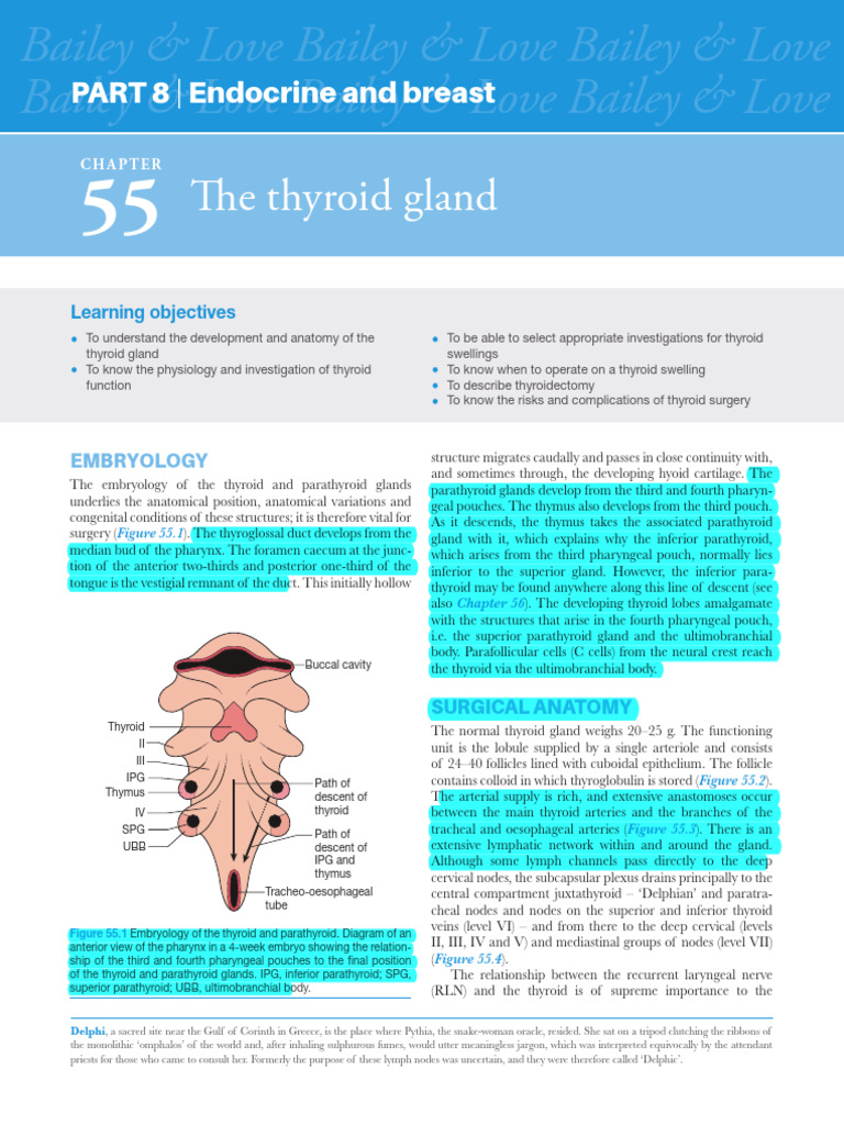 Chapter 55 To 57-2 - Endocrine Surgery | PDF | Common Carotid Artery ...
