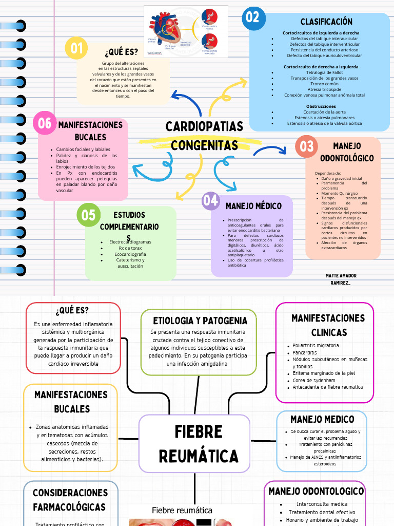 Pink Gradient Concept Map Chart | PDF | Corazón | Medicina CLINICA