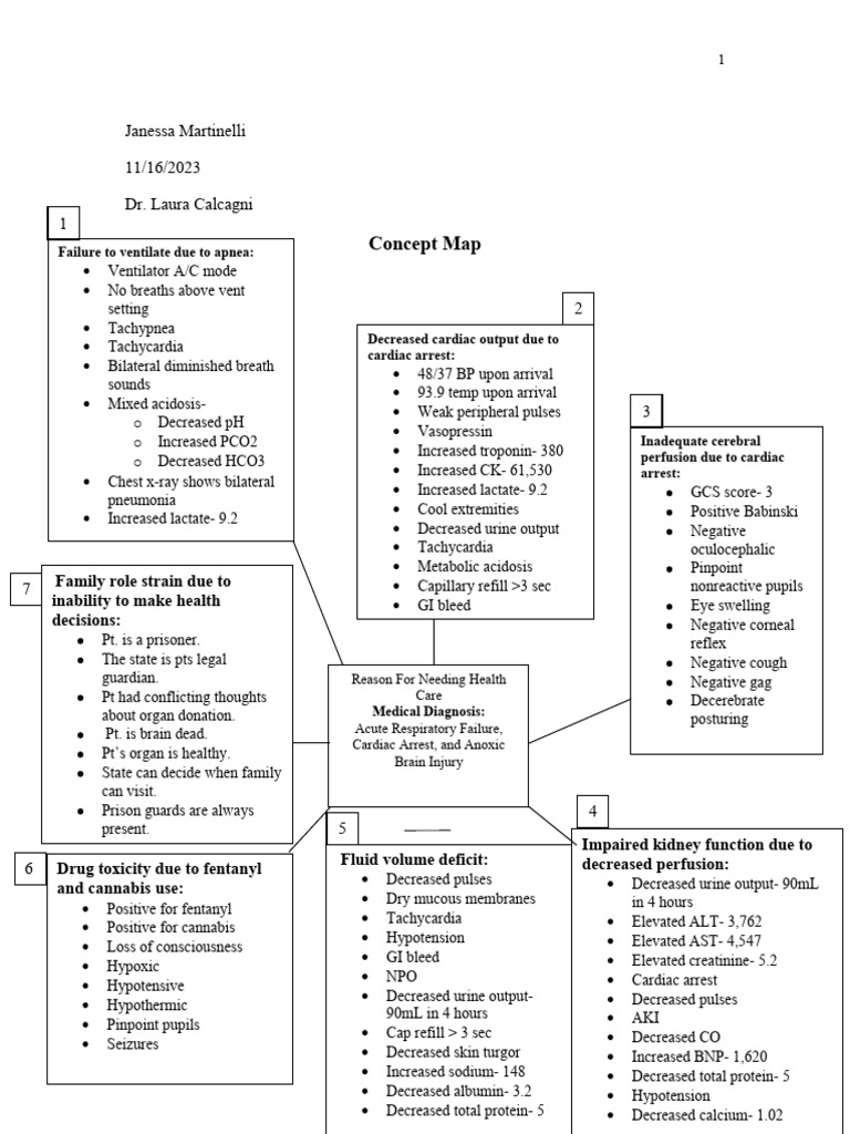 complxe care concept map | PDF | Heart | Heart Rate