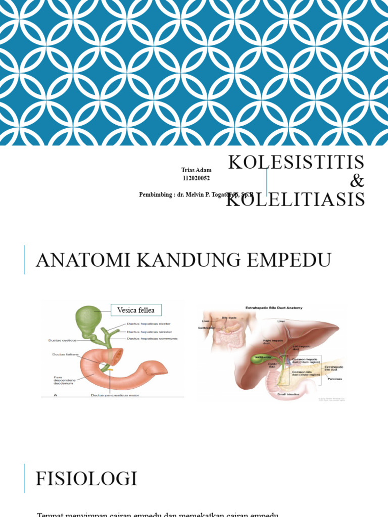 Referat Kolesistitis | PDF