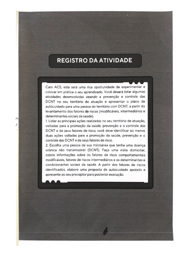 Registro Da Atividade | PDF