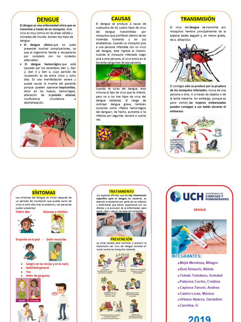 Triptico Dengue | PDF | Enfermedades animales | Enfermedades y trastornos Triptico Dengue | PDF | Enfermedades animales | Enfermedades y trastornos