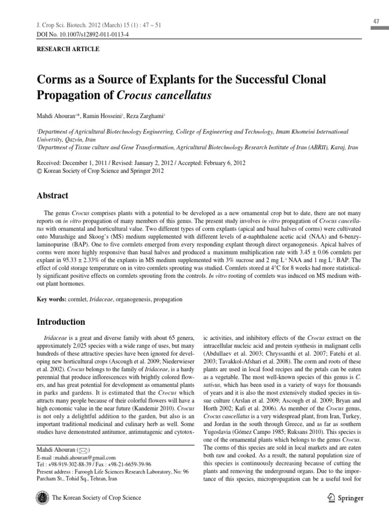 Corms As A Source of Explants For The Successful Clonal Propagation of ...