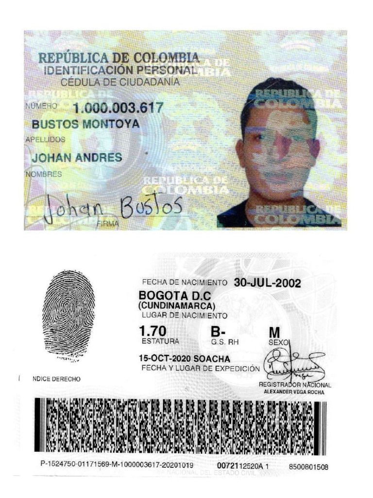 CC Johan Bustos | PDF