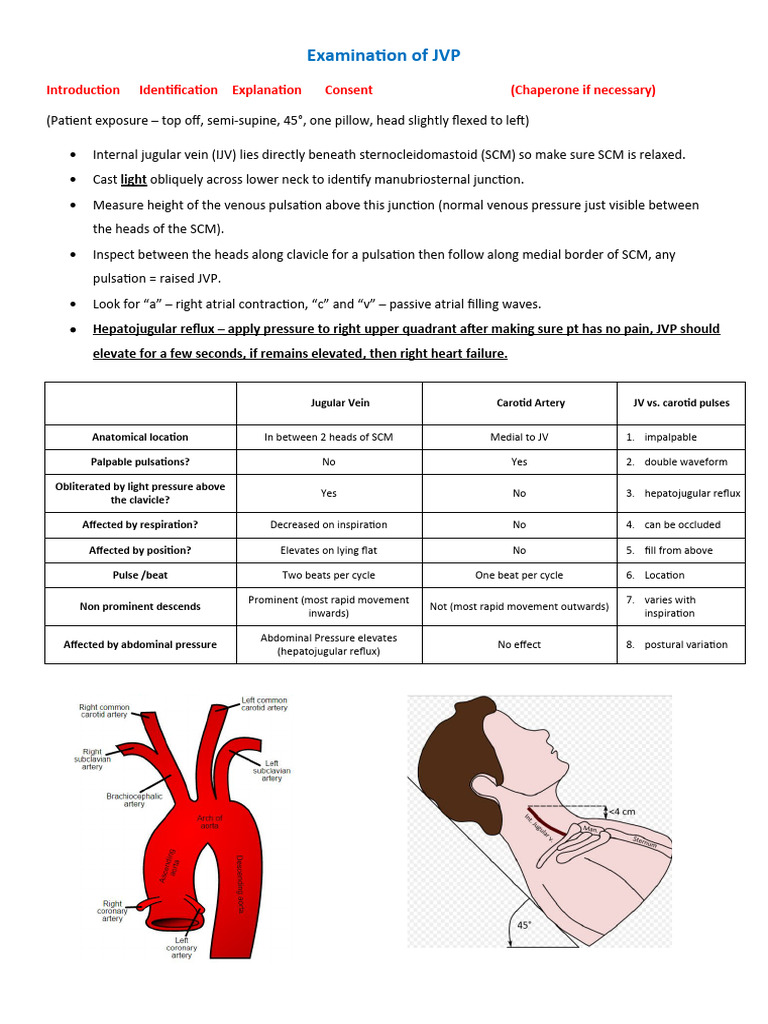4. JVP examination | PDF | Pulse | Cardiovascular System