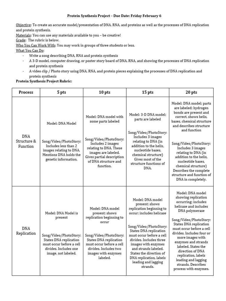 Protein synthesis project | PDF | Dna Replication | Dna