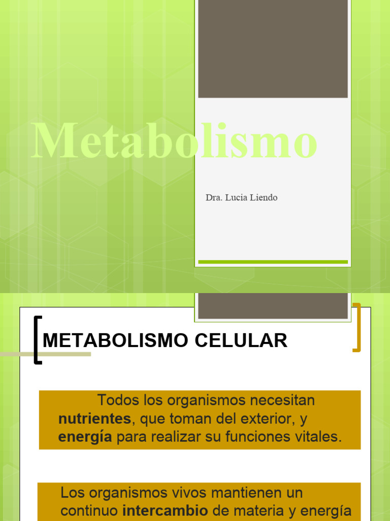 Metabolismo | PDF | Metabolismo | Digestión