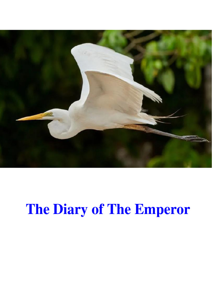 The-Diary-of-the-Emperor | PDF | Reason | Pleasure