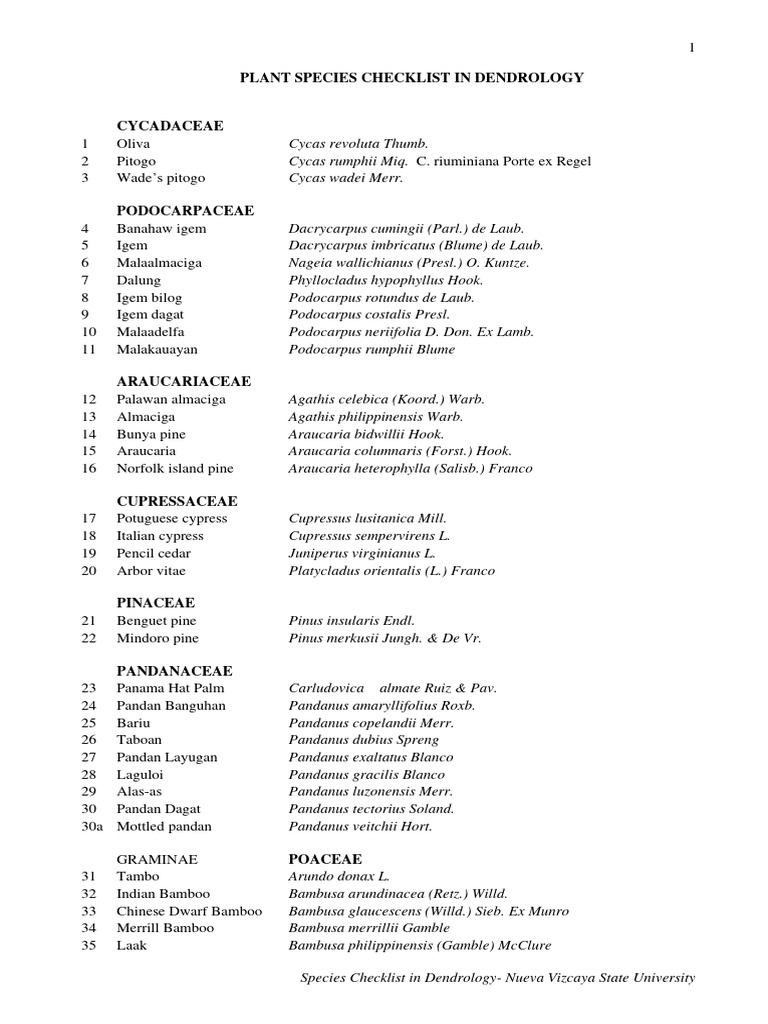 PLANT SPECIES CHECKLIST IN DENDROLOGY | PDF | Ficus | Trees