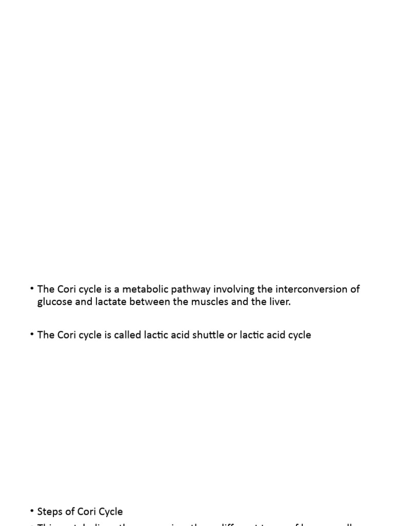 Cori Cycle | PDF | Glucose | Lactic Acid