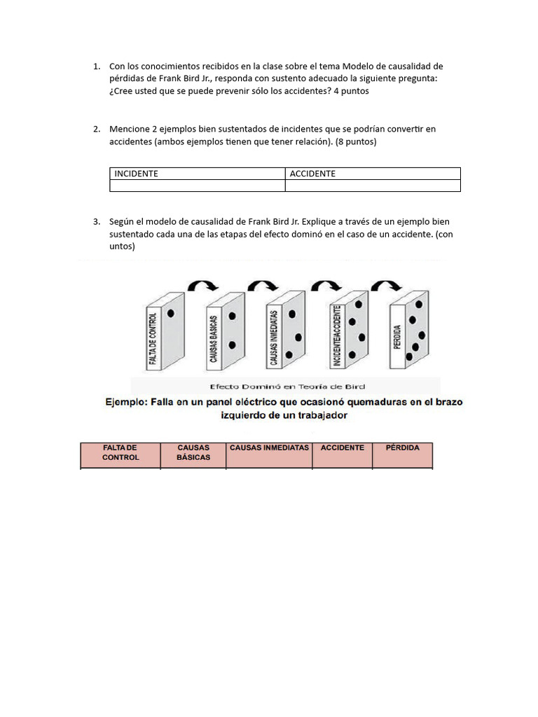 Examen de Frank Bird | PDF