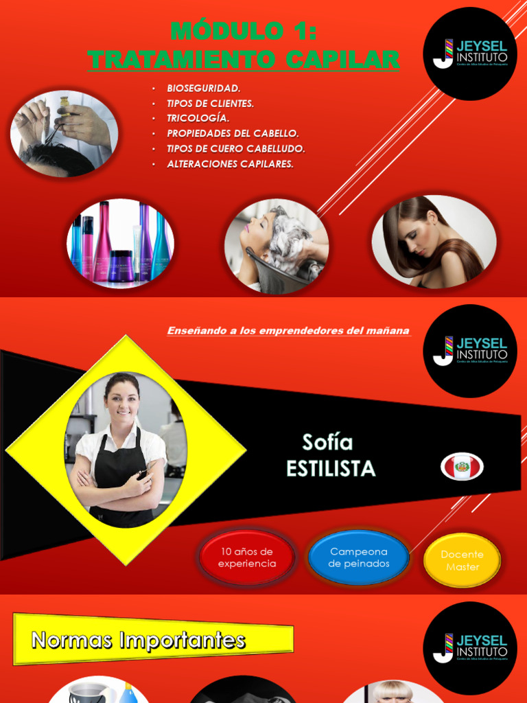 Tricologia 1 Jeysel Instituto | PDF | Piel | Anatomía