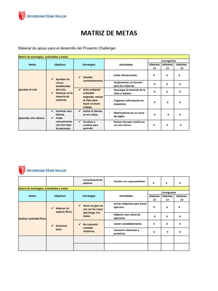 Matriz de Metas 13 en Blanco | PDF