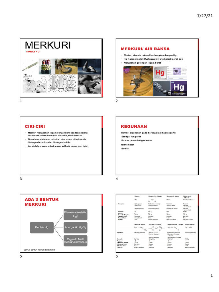 7-Merkuri (HG) | PDF