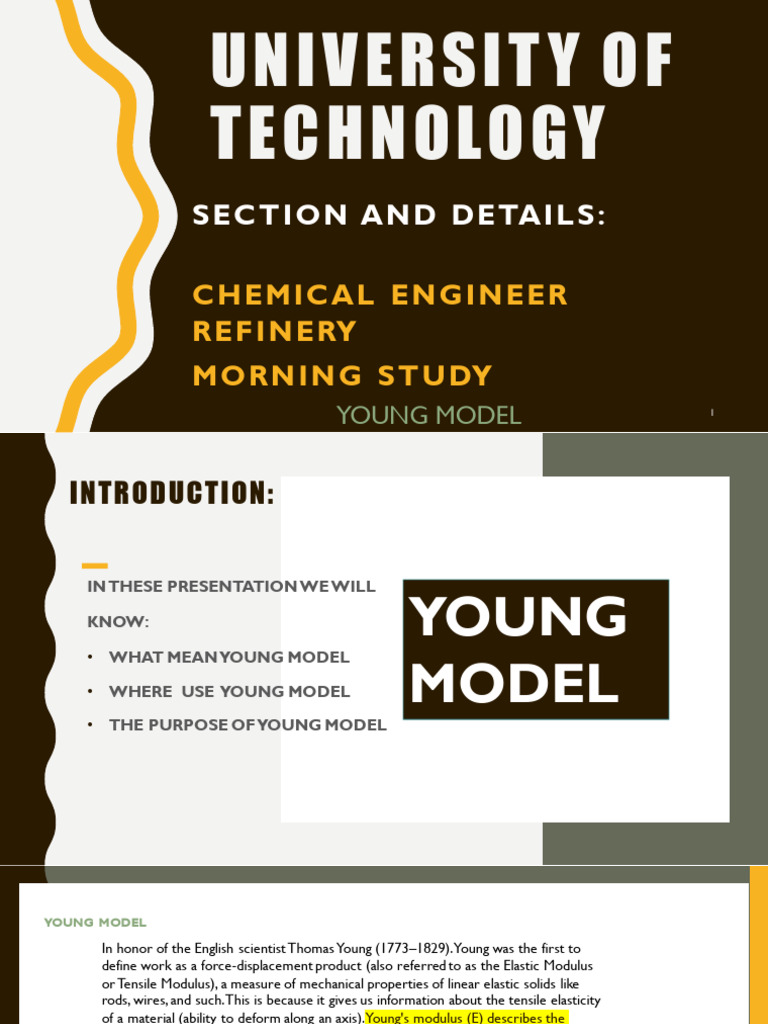Understanding Young's Modulus | PDF | Young's Modulus | Elasticity (Physics)