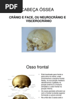 Anatomia dos Ossos da Cabeça | PDF | Crânio | Anatomia