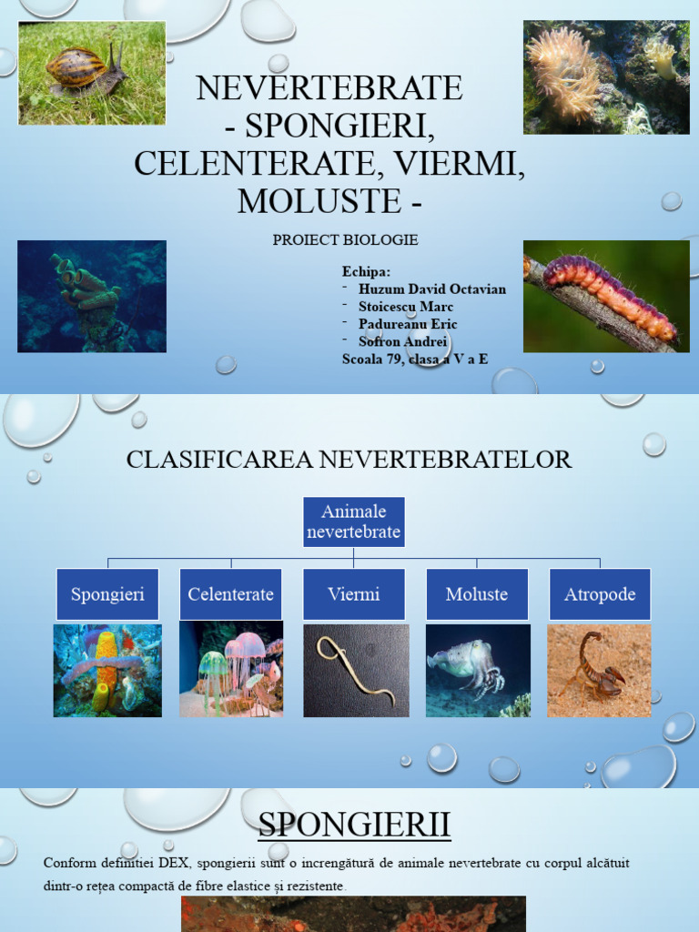 Proiect - Biologie Centralizat | PDF