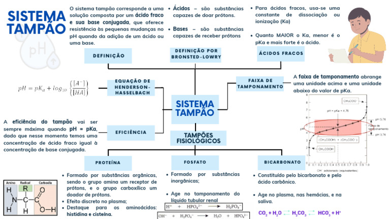 Mapa-mental-sistema-tampao-corrigido-2 | PDF | Solução-tampão ...