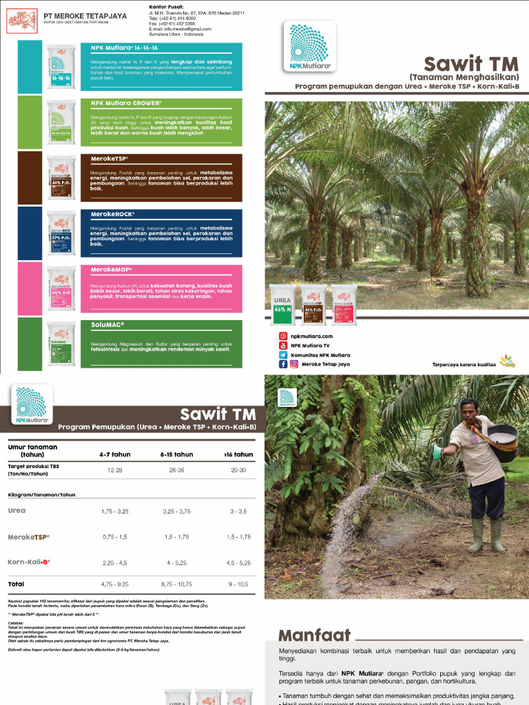 Brosur_Program_Pemupukan_Sawit_UREA+TSP+KKB | PDF