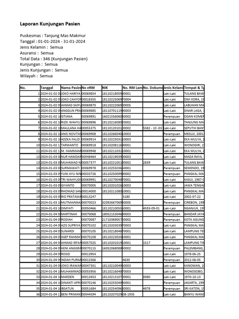 Laporan Kunjungan Pasien | PDF