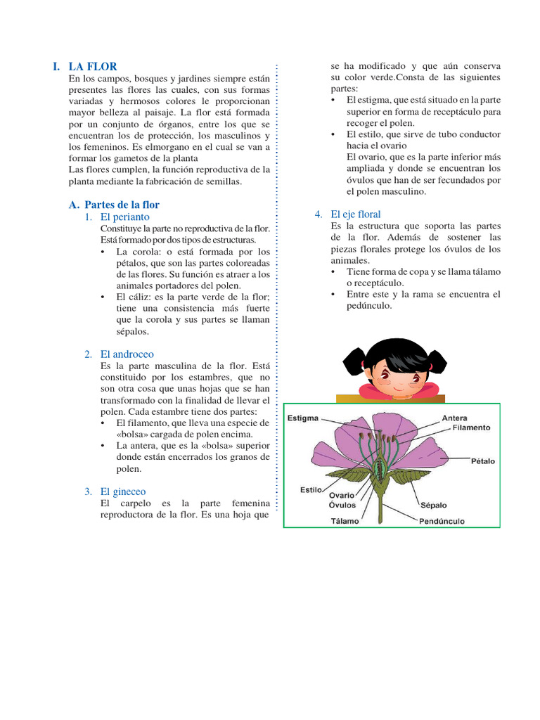 La-Flor | PDF | Flores | Semilla