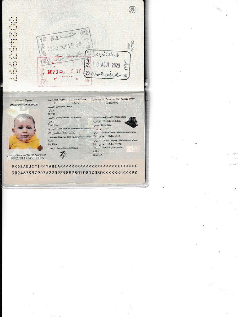 Passport 3 | PDF