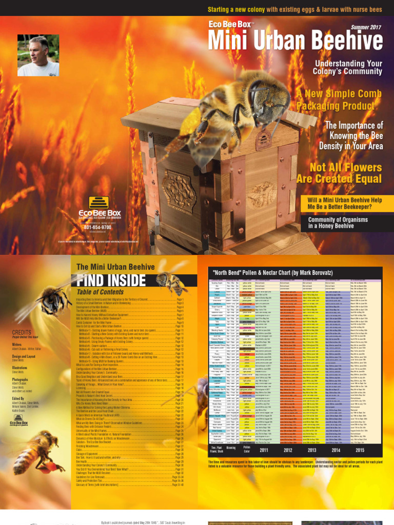 Mini Urban Beehive | PDF | Beehive | Honey Bee