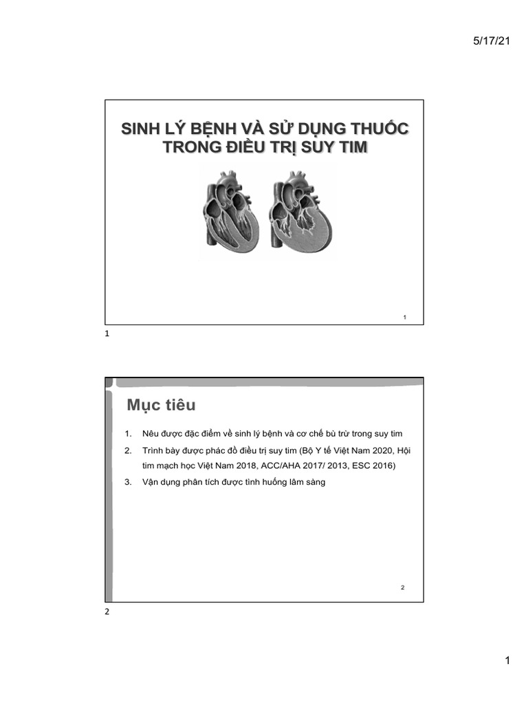 Bài Suy Tim | PDF