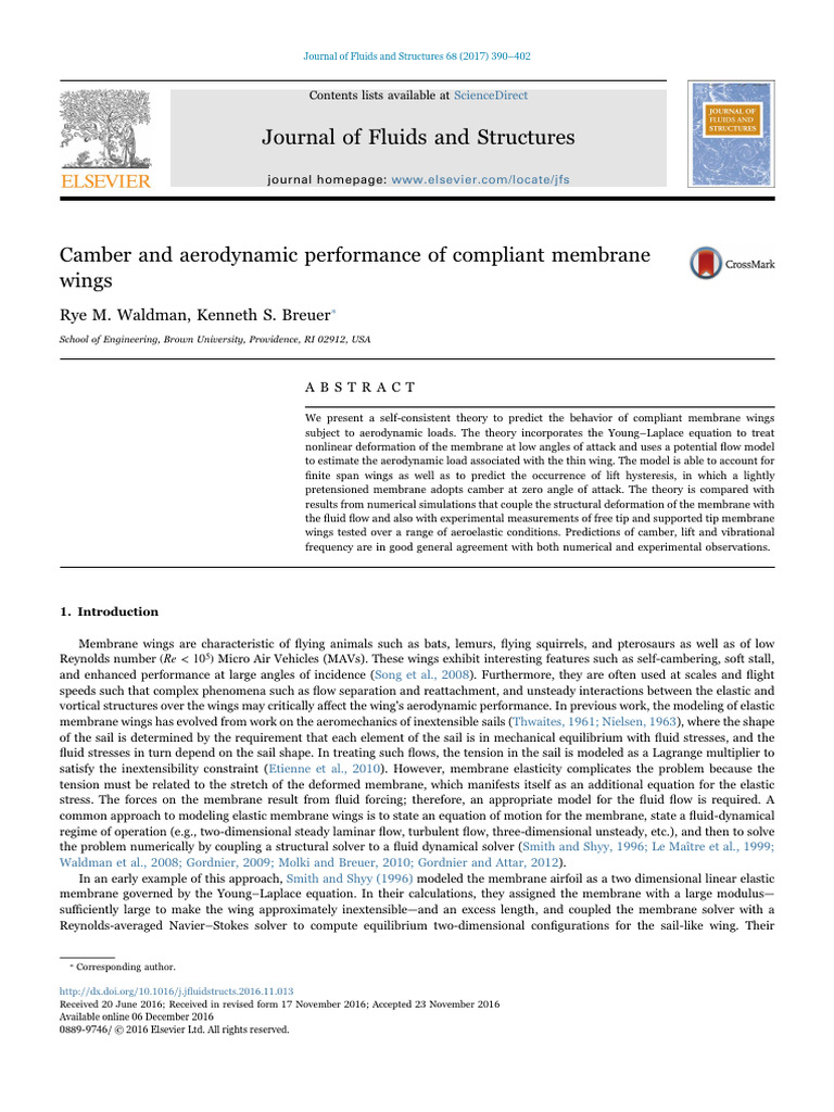 Flexible Membrane | PDF | Wing | Lift (Force)