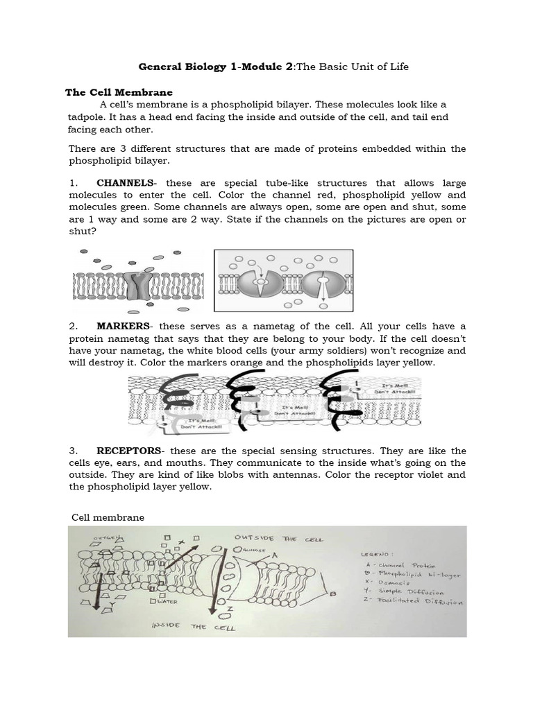 General Biology 1 | PDF | Cell (Biology) | Tissue (Biology)