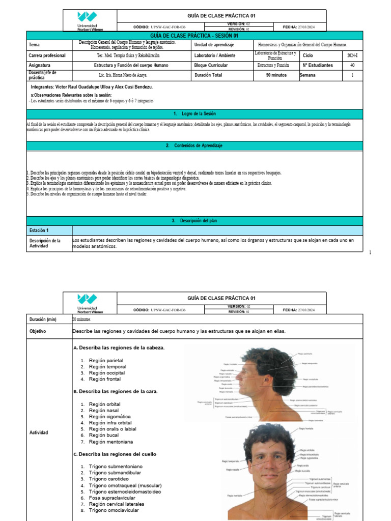 Guia De Práctica 1 Estructura Y Función Pdf Homeostasis Anatomía
