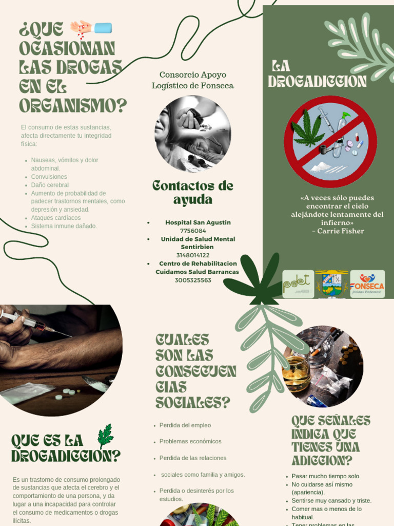 flyer folleto la drogadiccion ajuste final | PDF | La dependencia de ...