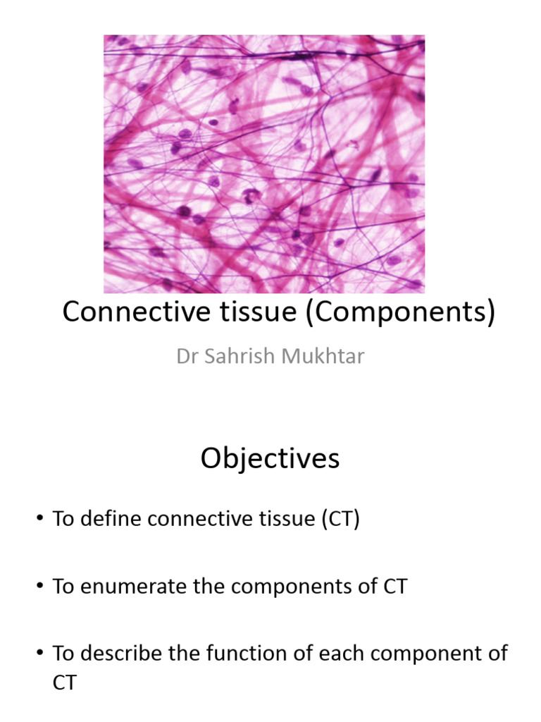 Connective Tissue Overview | PDF | Connective Tissue | Collagen