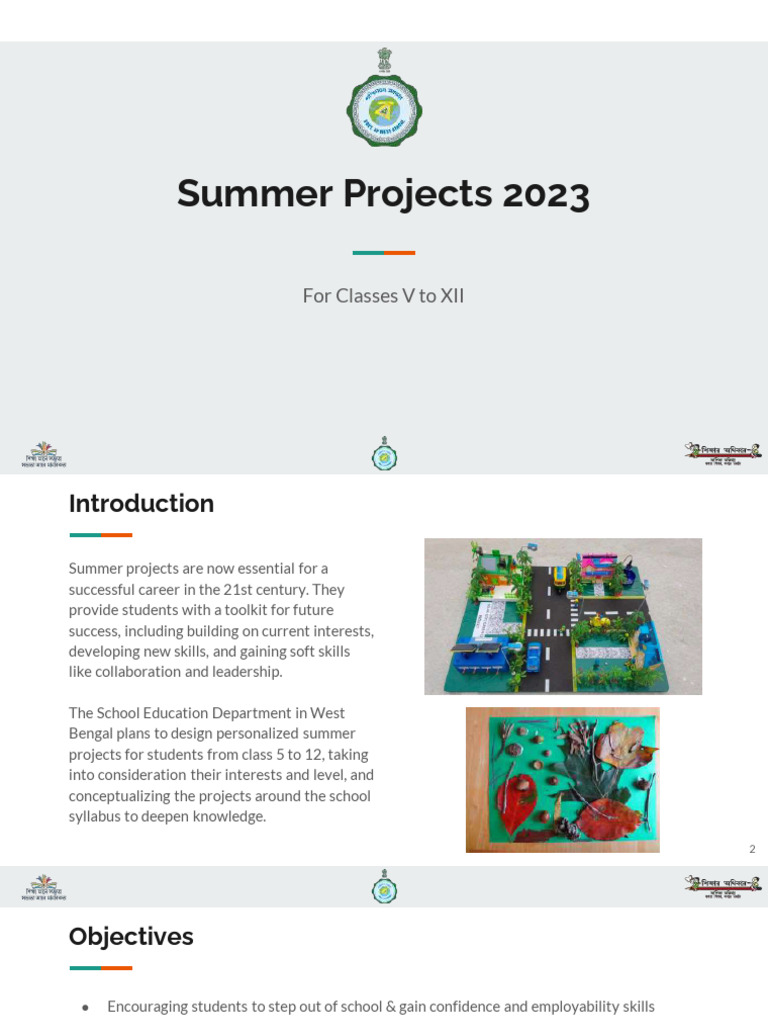 Summer Project Orientation V4 | PDF