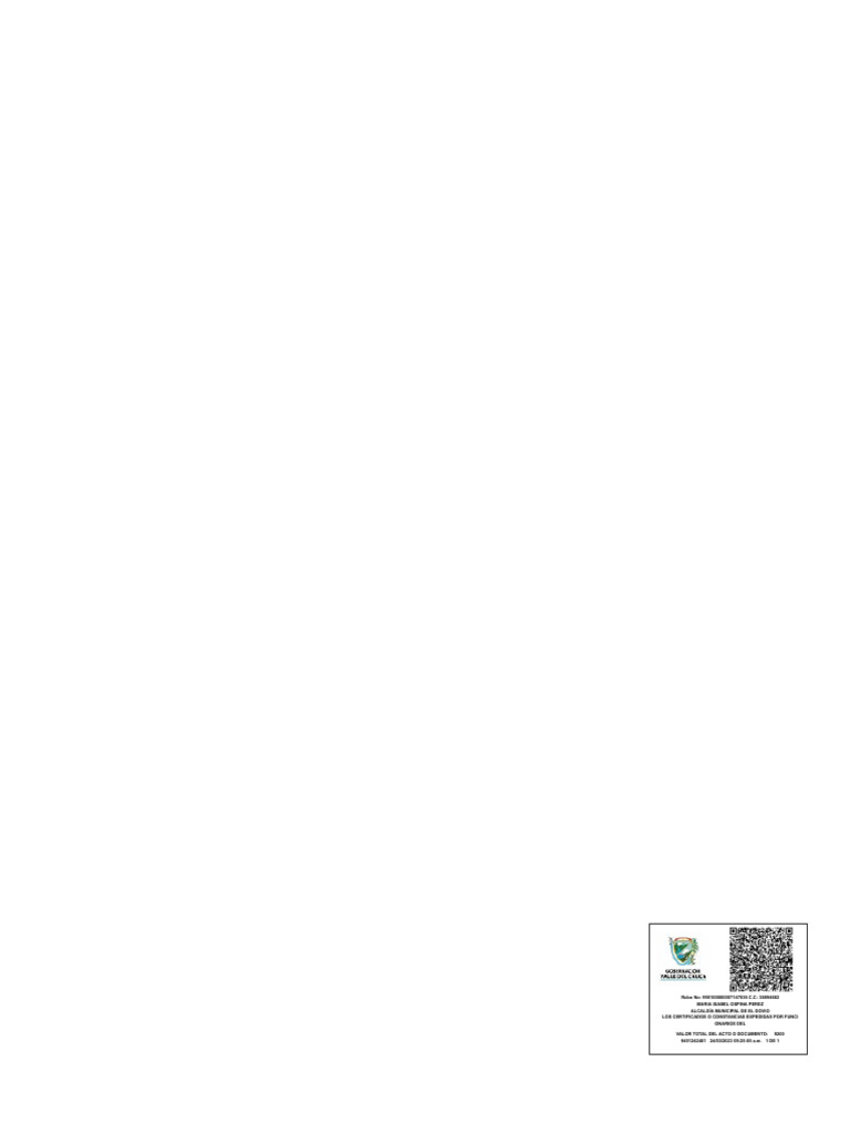 FRM Visor PDF2 | PDF