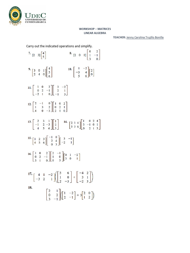 Workshop - Matrices | PDF