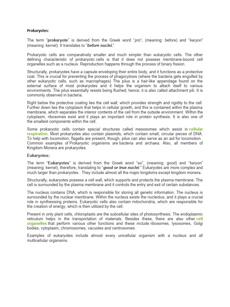 Prokaryotes Eukaryotes Pdf Cell Biology Prokaryote 