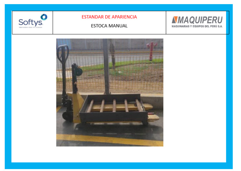 Estándar de Apariencia: Estoca Manual | PDF