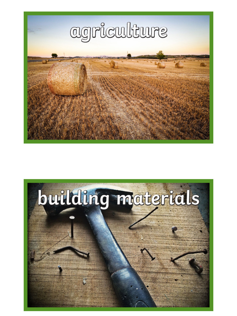 Somewhere To Settle Display Photos | PDF