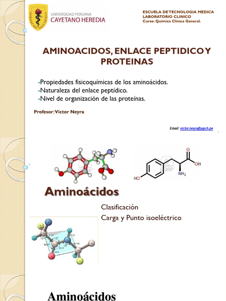 Aminoacidos, Enlace Peptidico y Proteinas. | Descargar gratis PDF ...