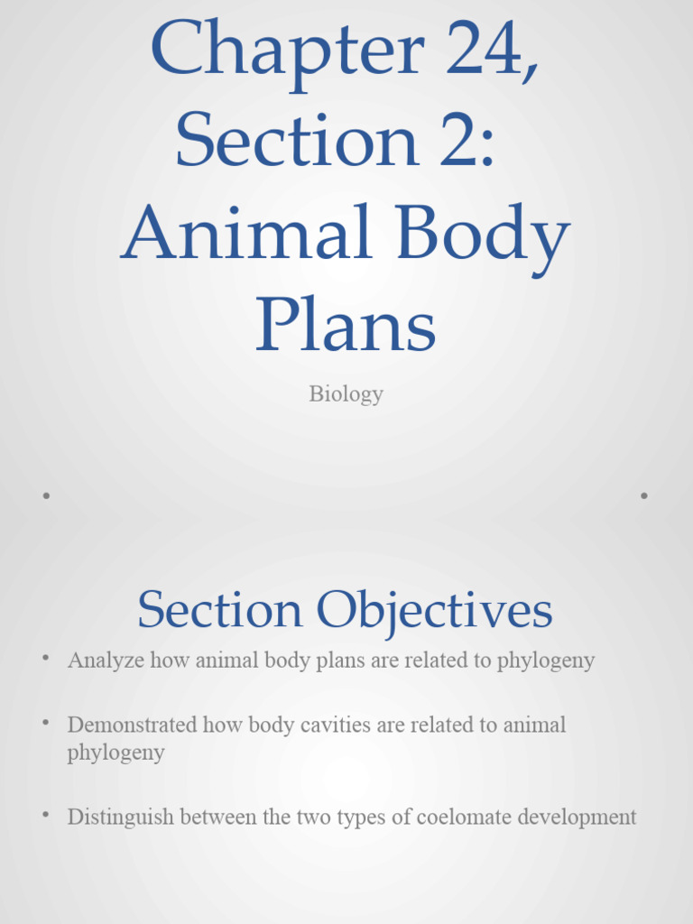 Animal Body Plans | PDF | Biology | Anatomy