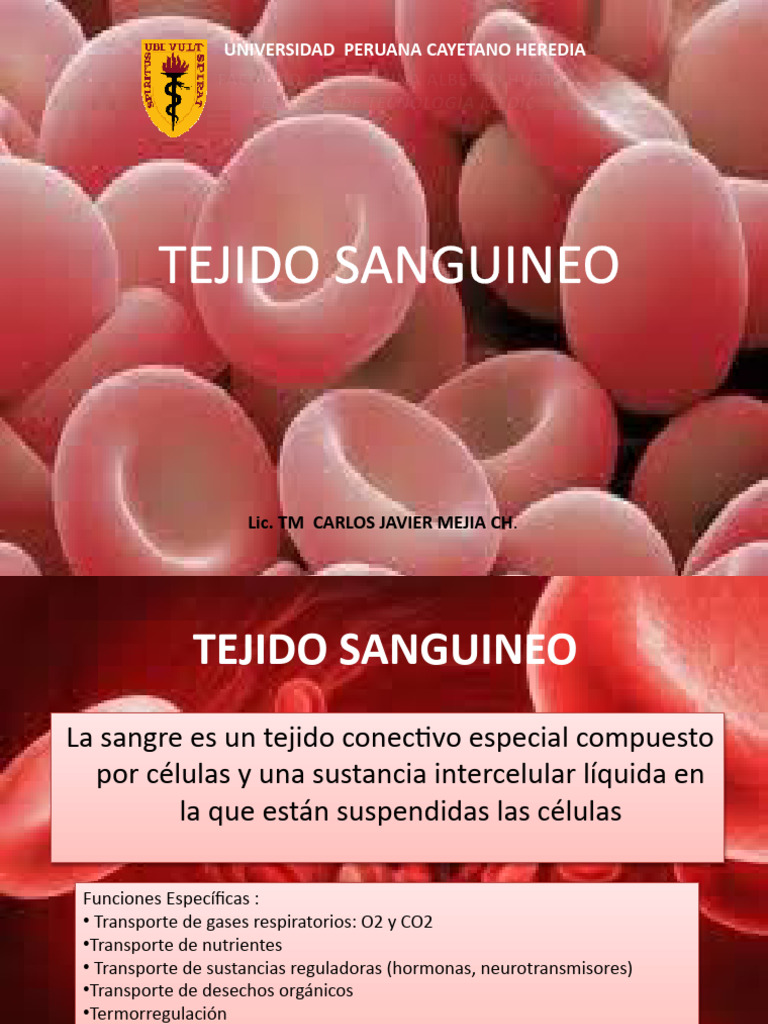 Tejido Sanguineo | PDF | Tinción | Sangre