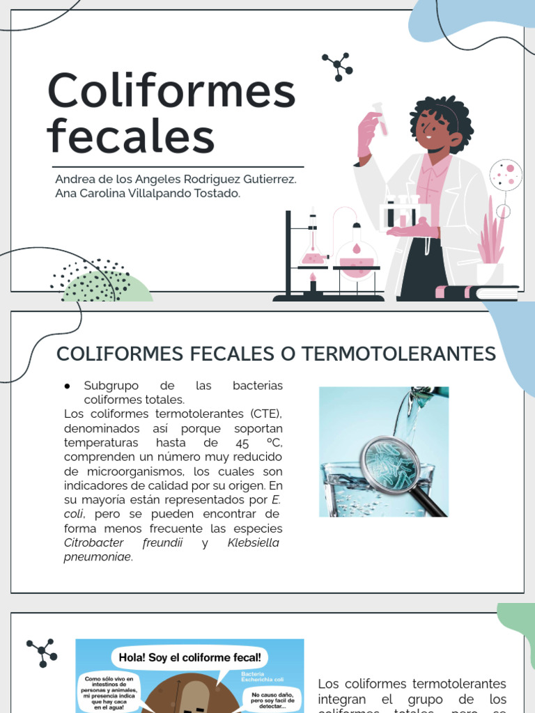 Coliformes Fecales 2 | PDF | Organismos | Microbiología