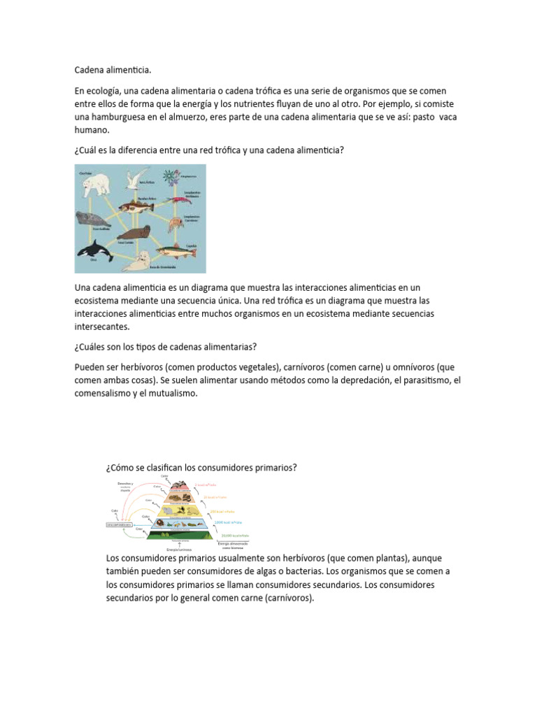 Cadenas Alimenticias | PDF