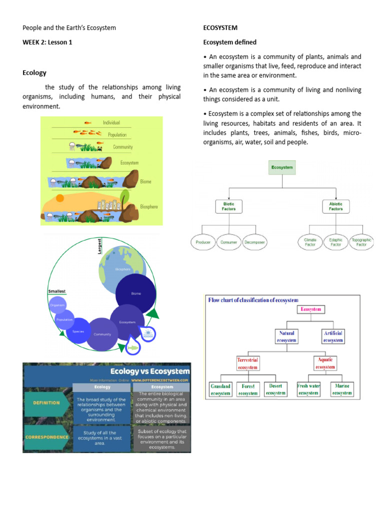 People and the Earths Ecosystem Lesson 1 4 | PDF | Ecosystem | Ecology